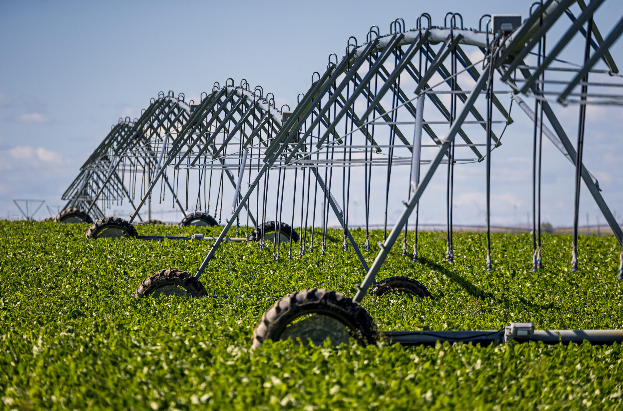 The Cypress Farm and Ranch Show - A Medicine Hat Agricultural Event